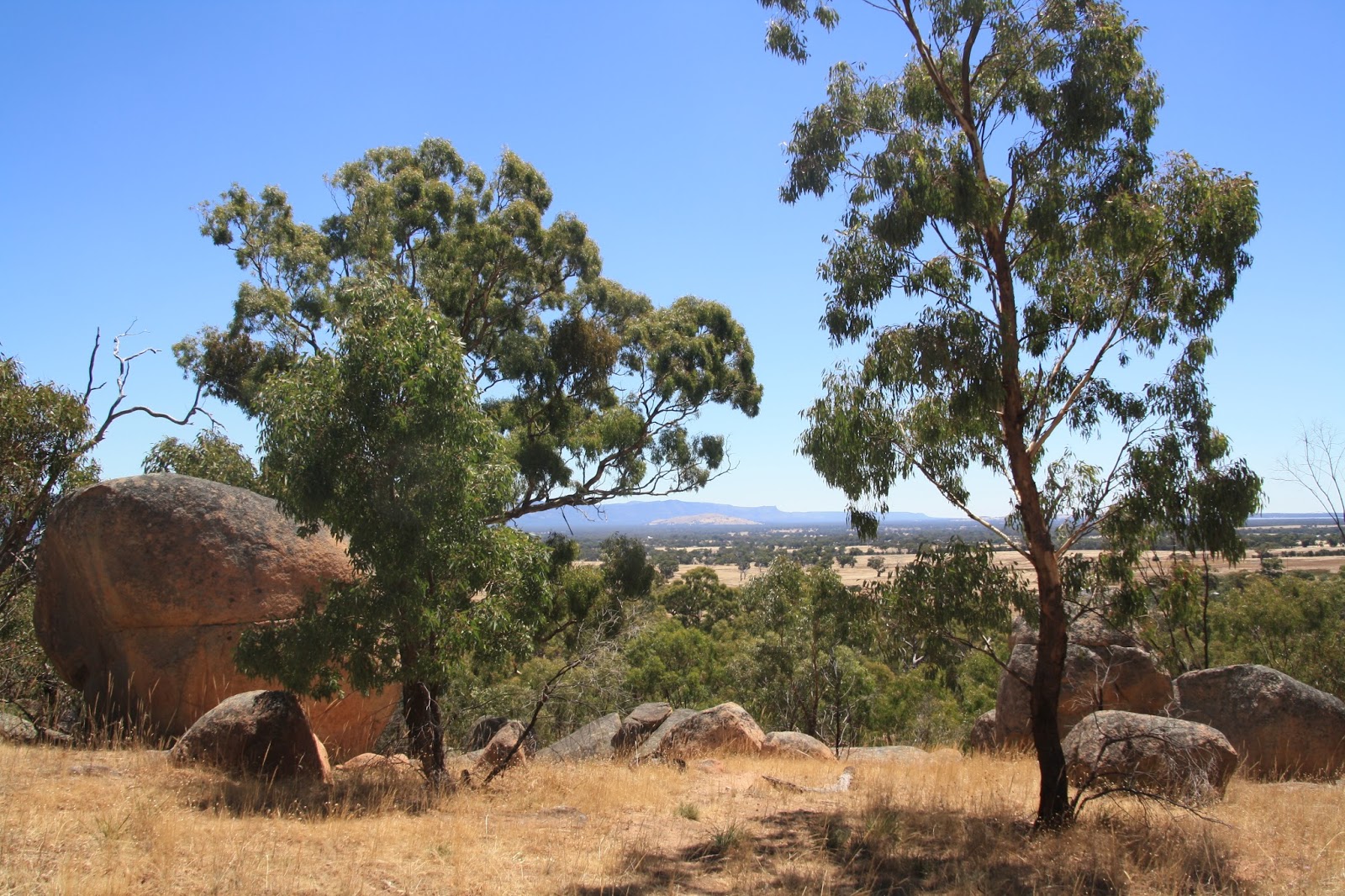 RDO Melbourne: Bunjil Shelter