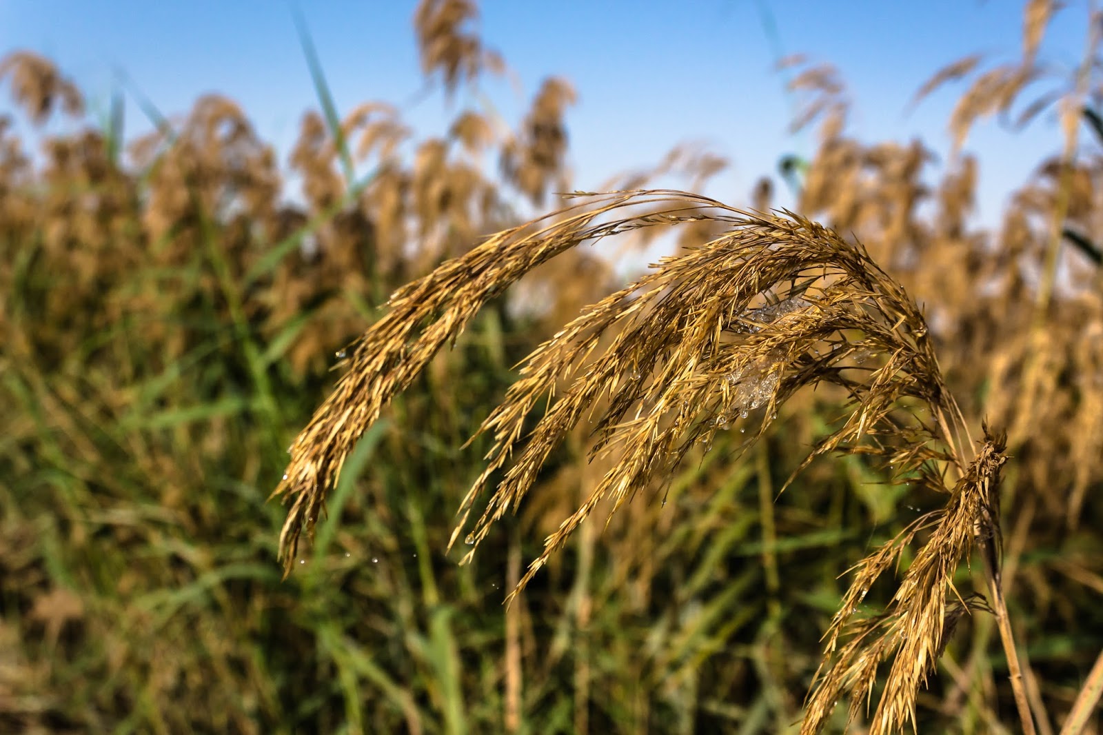 A Hidden Place Near Irkaya Farm Qatar | Just Smile