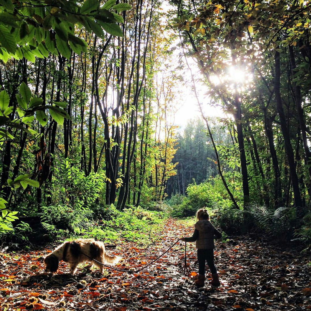 littlemaldod: "A girl and her dog on a chestnut hunt"