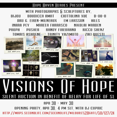 Hope Haven Heroes Presents Visions of Hope 2016 Silent Auction- April ...
