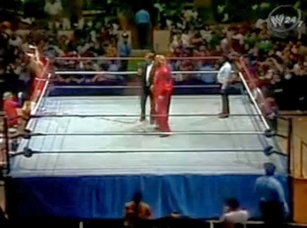 ProWresBlog: November 2013