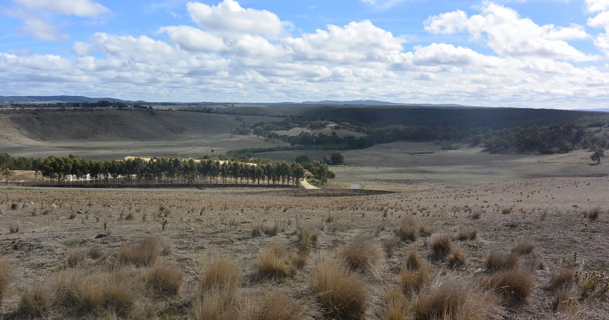 Barwon Blog: 'Ballark'