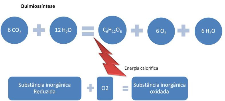 Profª L. Madsen: 2º ano Biologia