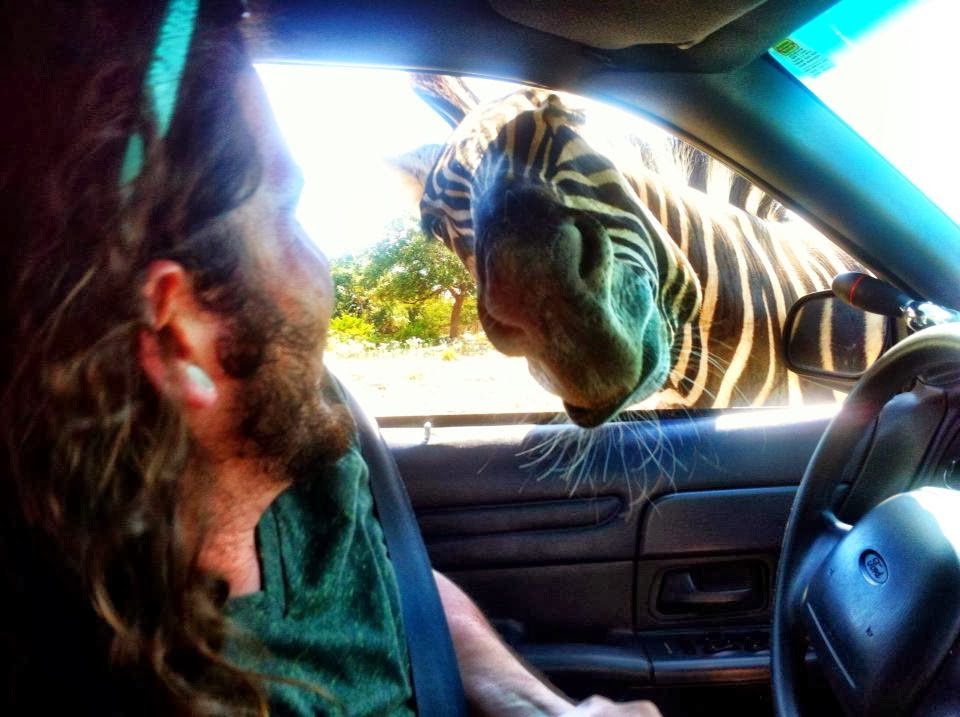 Beautiful World : Today's Collection of Amazing, Beautiful and Funny Pics