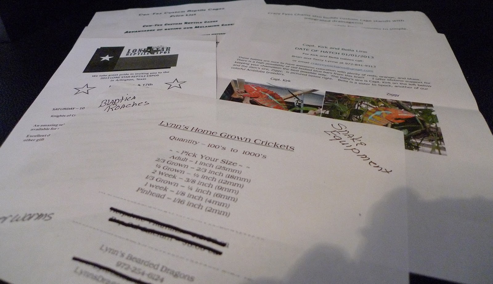 Paraherpetology: Repticon Dallas, Part 3: My Herp Haul