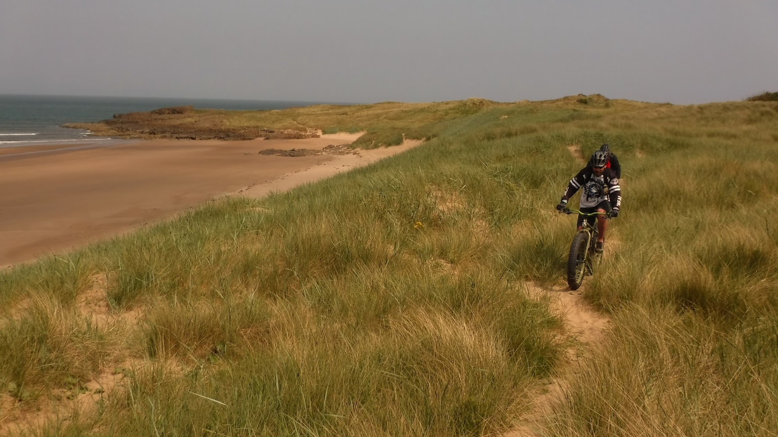 coastrider: Surly Wednesday update...