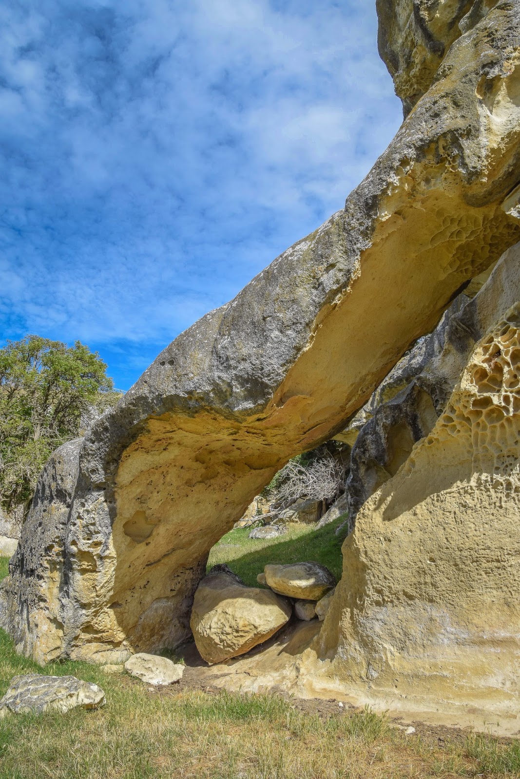 Paws Awhile: Duntroon - Waitaki Valley