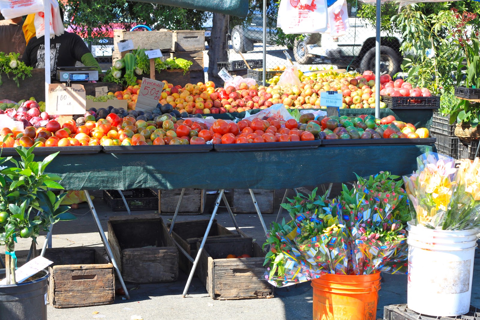 THE CRACKED KETTLE: the alemany farmer's market