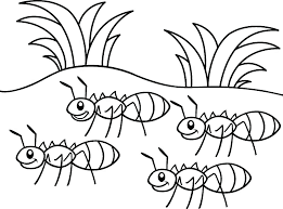 Ant Colony Coloring Pages - Best Coloring Pages For Kids