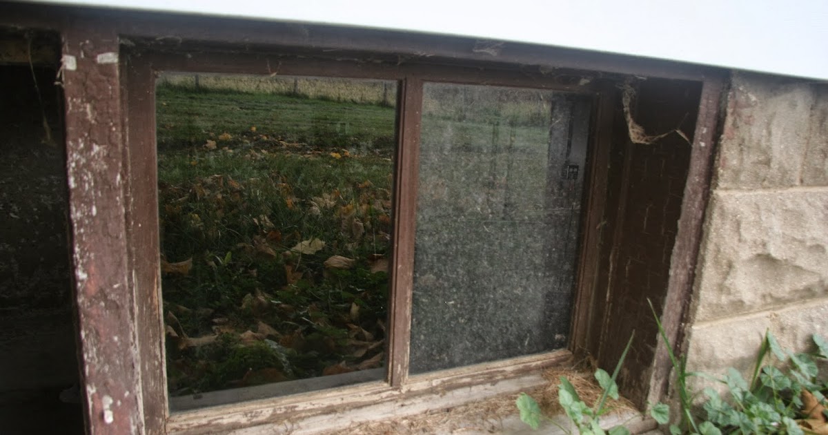 Crafty Homestead: New Basement Windows