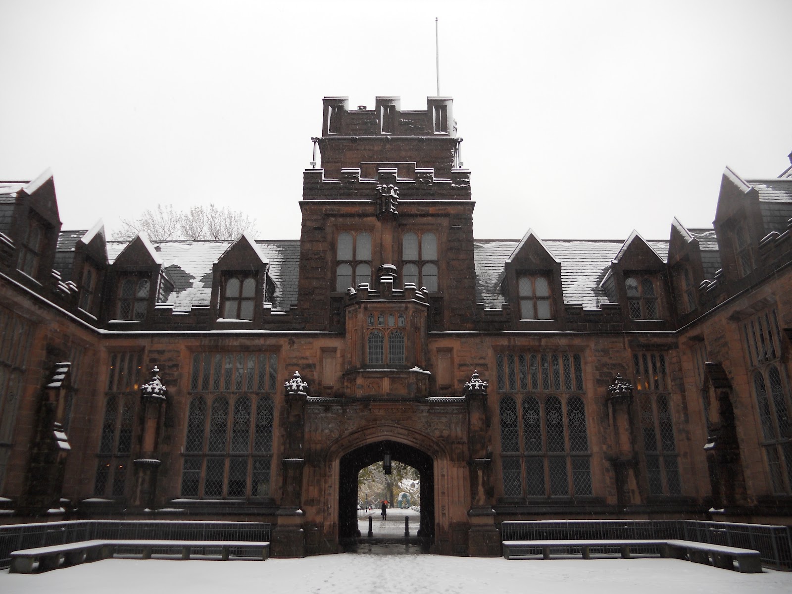 Nature Photography: First Snow at Princeton