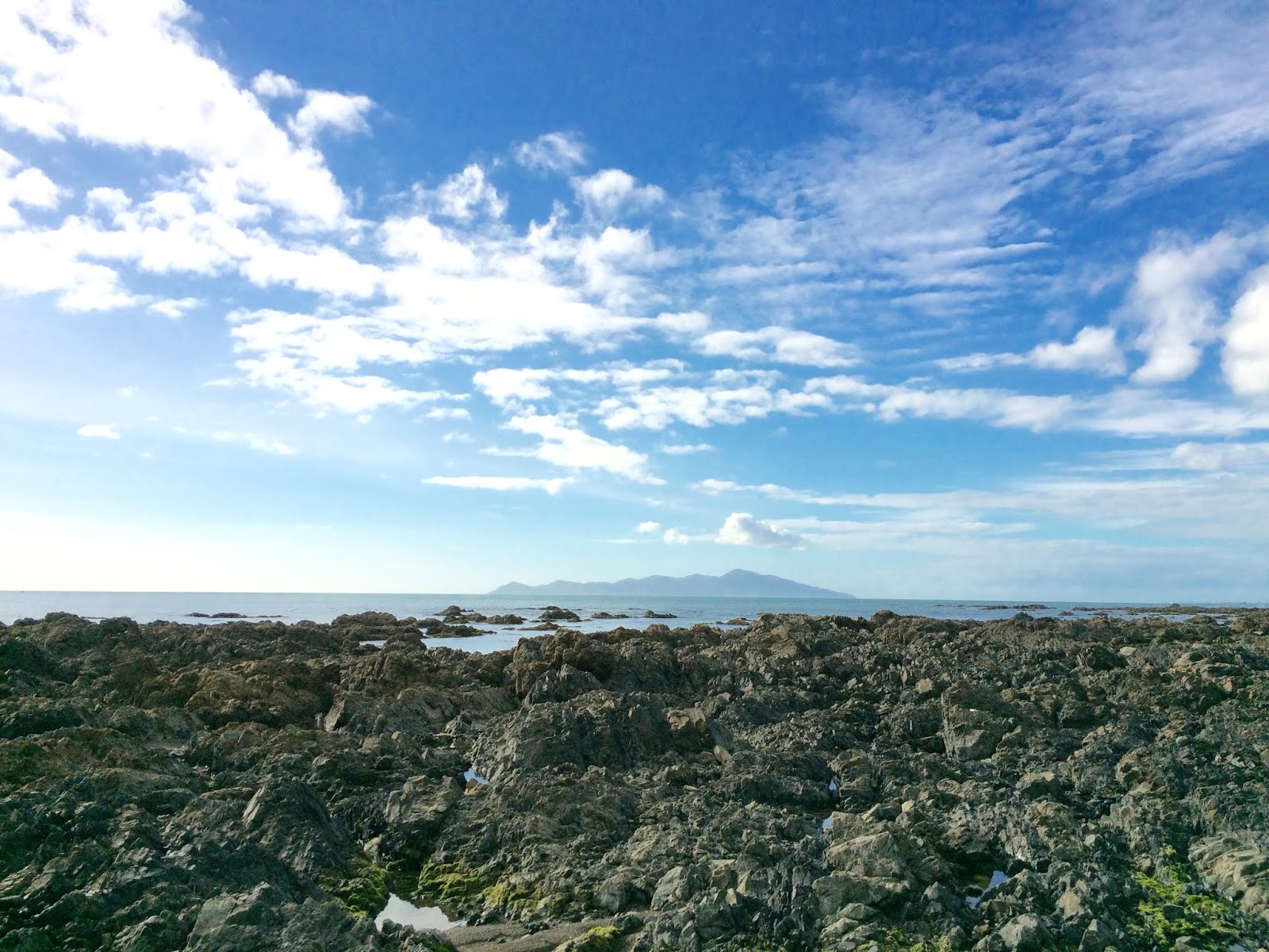 Explore and Discover Nature: Exploring Patterns in Nature - finding ...