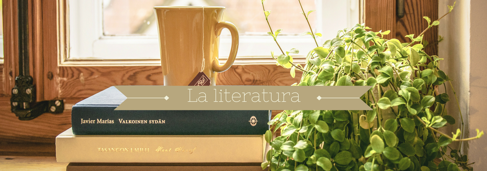 ¿Qué es la Literatura?