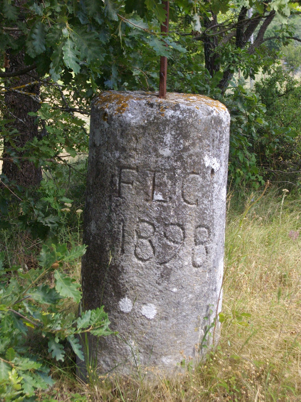 French Vocabulary Illustrated: borne