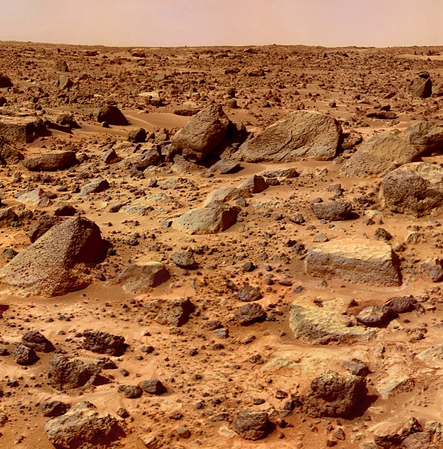 What Do We Need To Live On Mars?