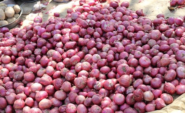 Info And Cara Cara Menanam Bawang Merah Dengan Hasil Melimpah Terlengkap