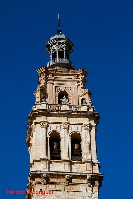 BICHOS Y MAS VLC: DE PASEO POR ONTENIENTE (I)