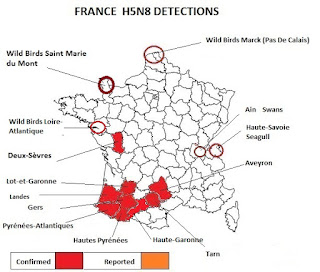 Avian Flu Diary: France: MOA Announces 24 New Outbreaks Of H5N8