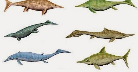 Marine Reptile Locomotion Imaginings