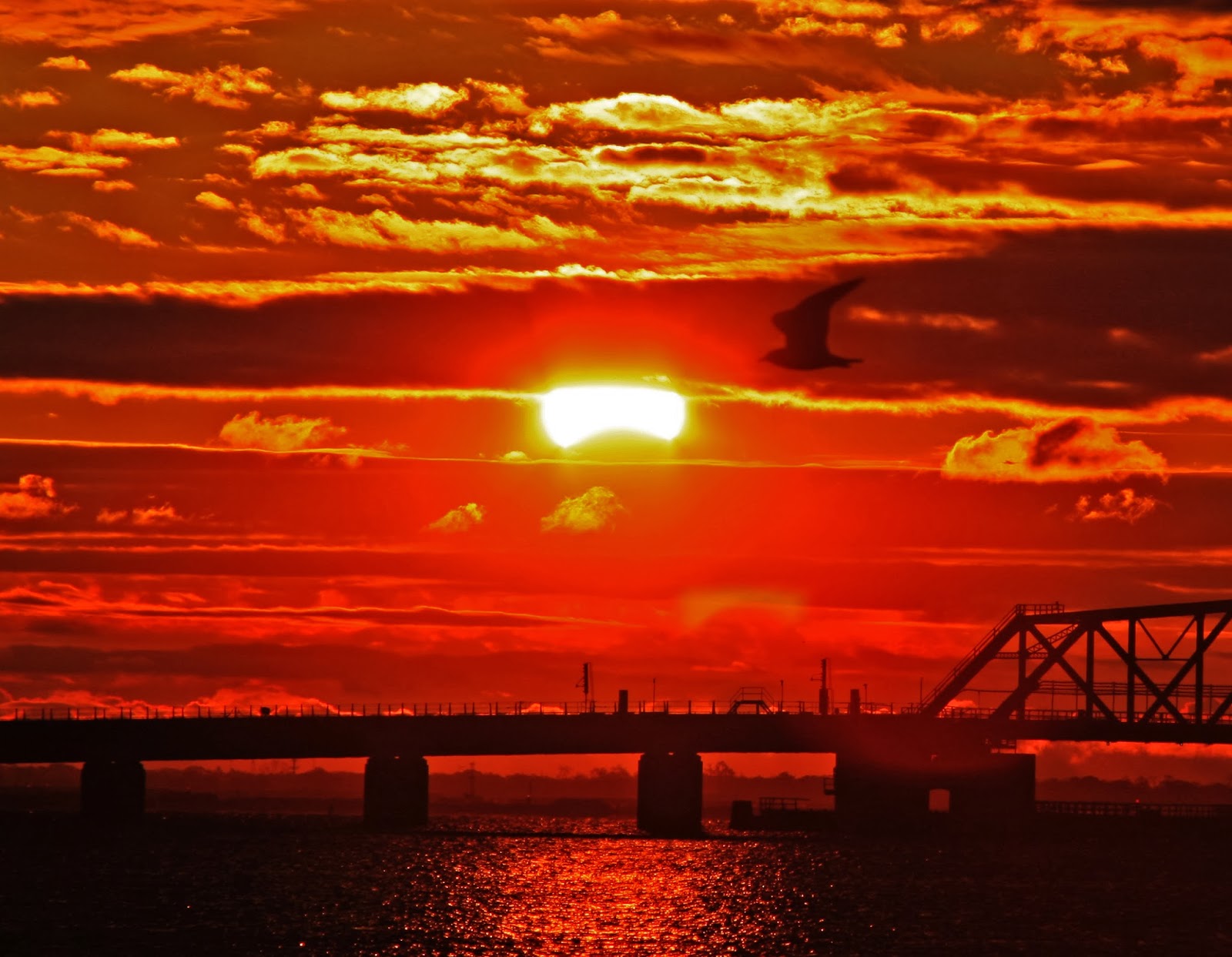 Astrophotography Blog: Solar eclipse from New York November 3, 2013 ...