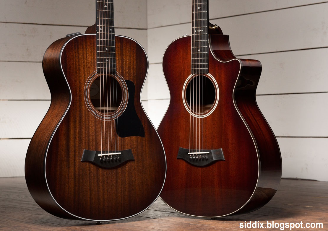 10 Jenis Gitar - Siddix