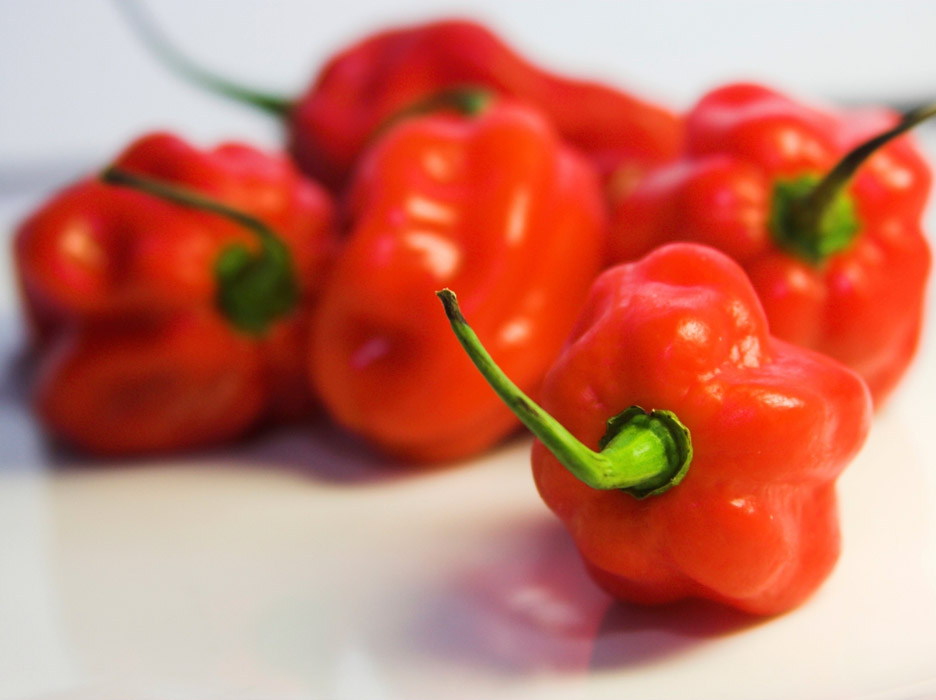 Qual a pimenta mais ardida do mundo?