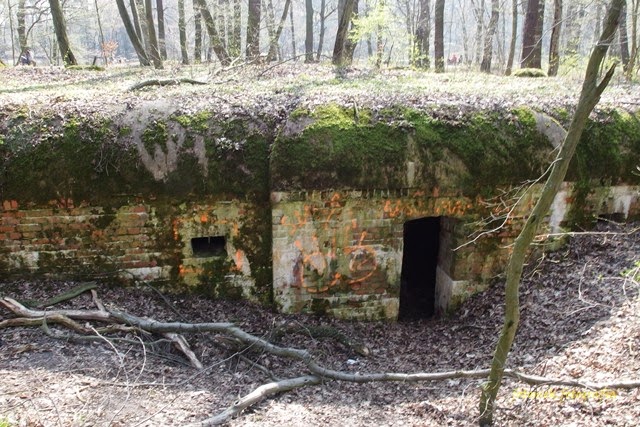 fotomek fotografia: Bunkry - Poznań, Dębina