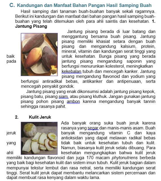 Pengolahan 4: Pengolahan Bahan Pangan Hasil Samping Buah