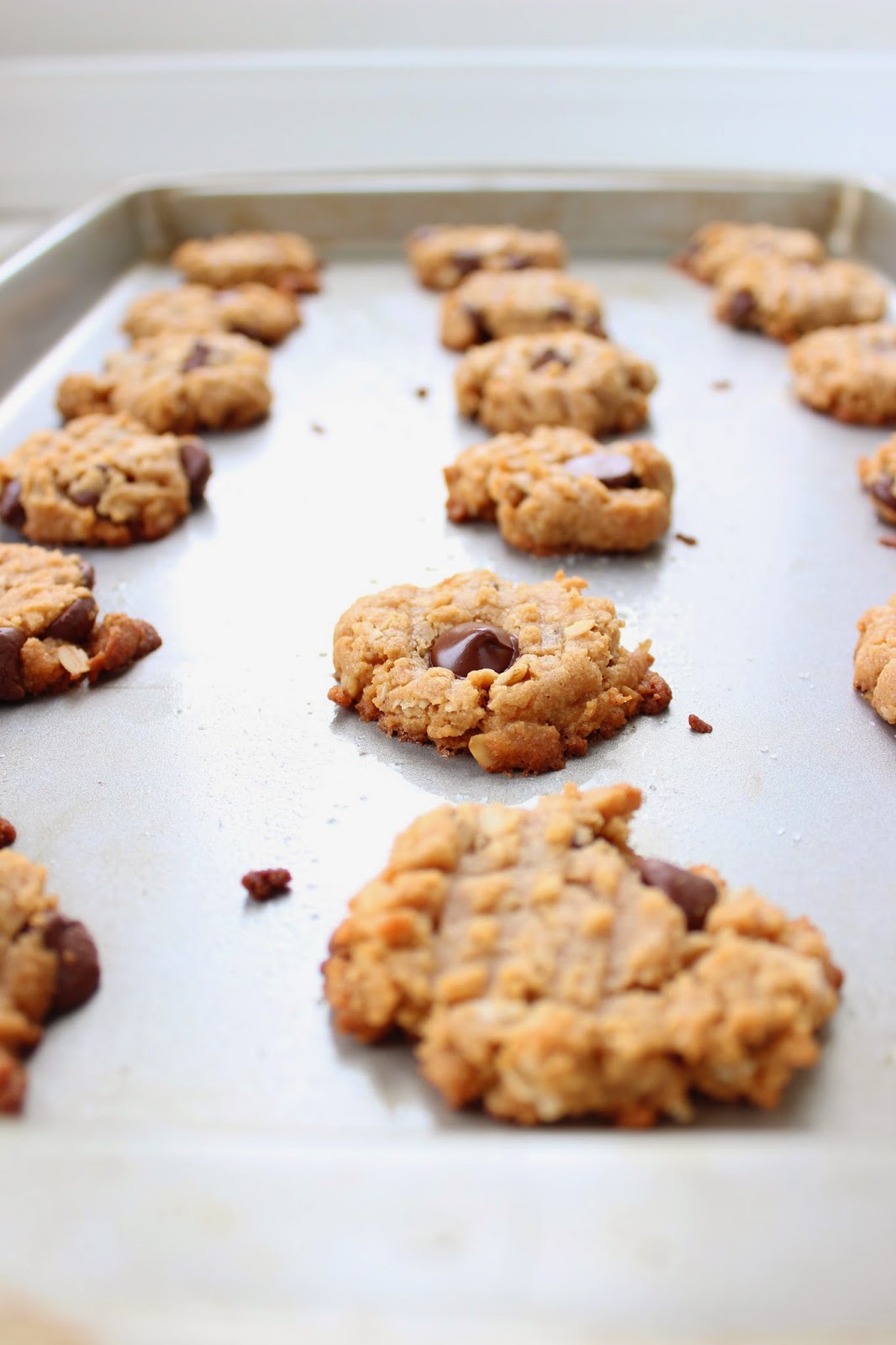 Stew or a Story: Stupid Easy Gluten-Free Peanut Butter Chocolate Chip ...