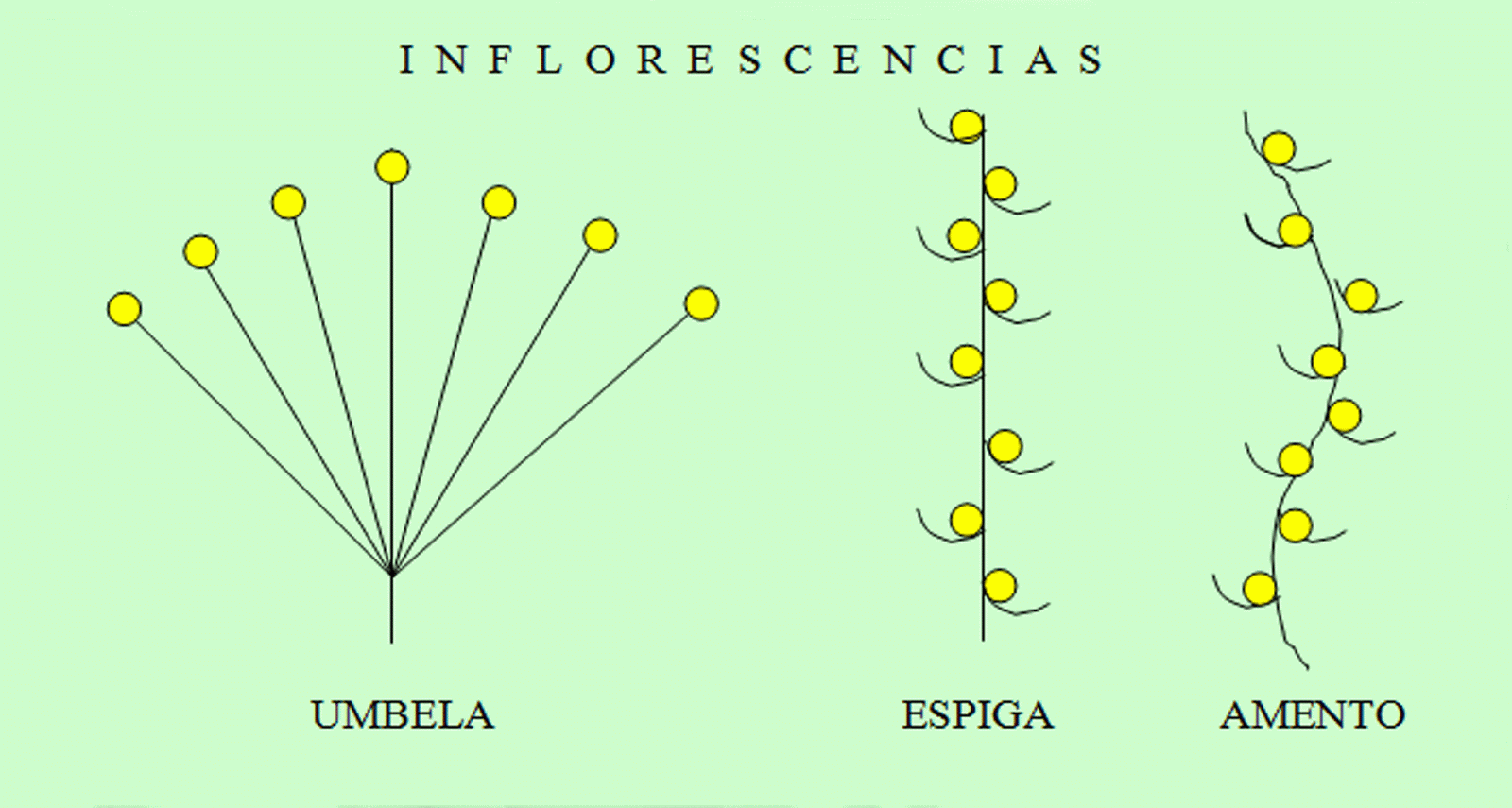 Un tema, mil preguntas.: marzo 2014