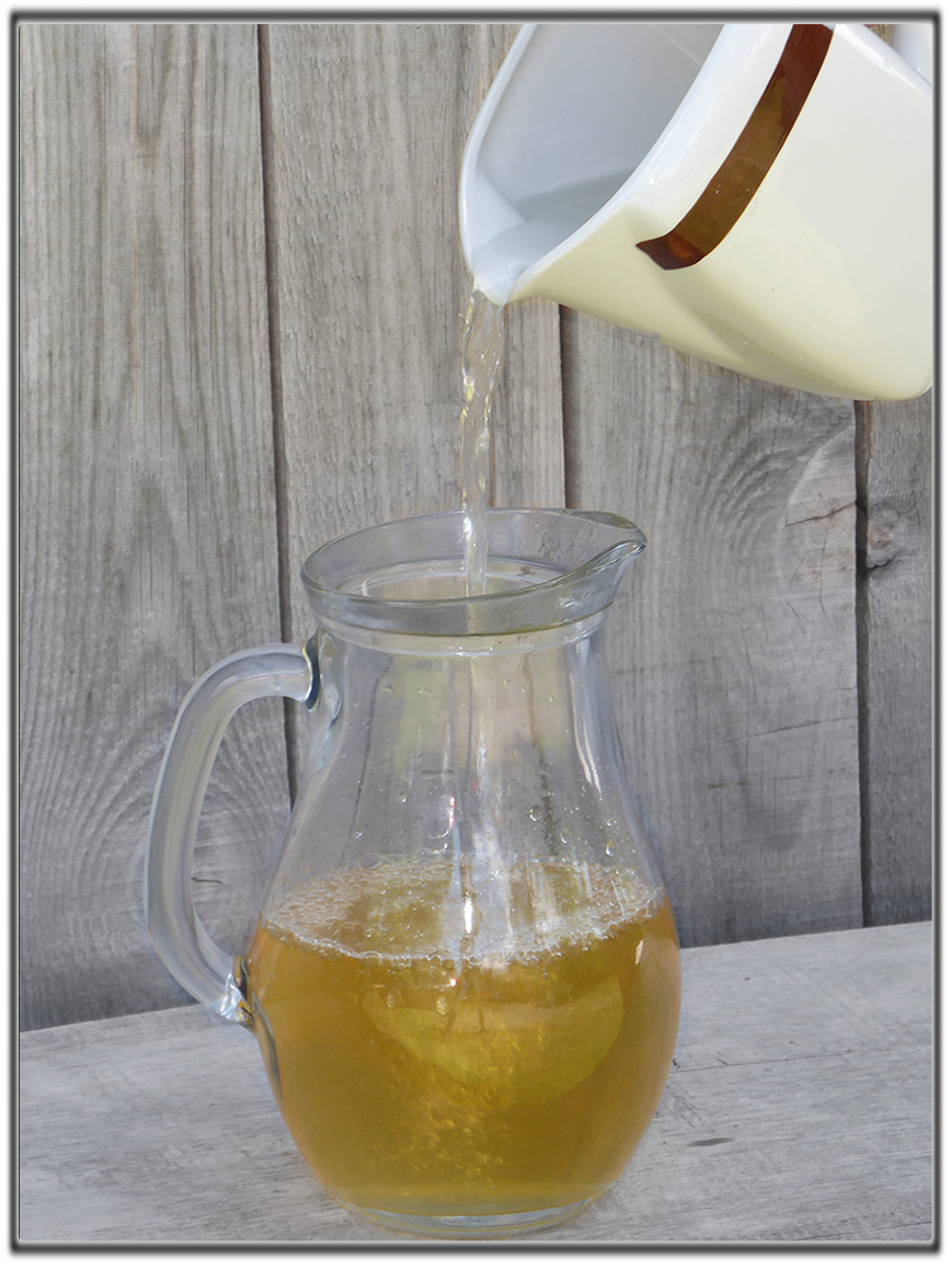 Gör egen kombucha! Scoby svamp till salu, skickas med vanlig post på 1 ...