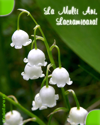 Gânduri răvășite...: Mama mea.. o floare