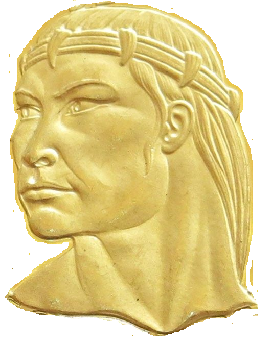 Estuche Digital: Murachi