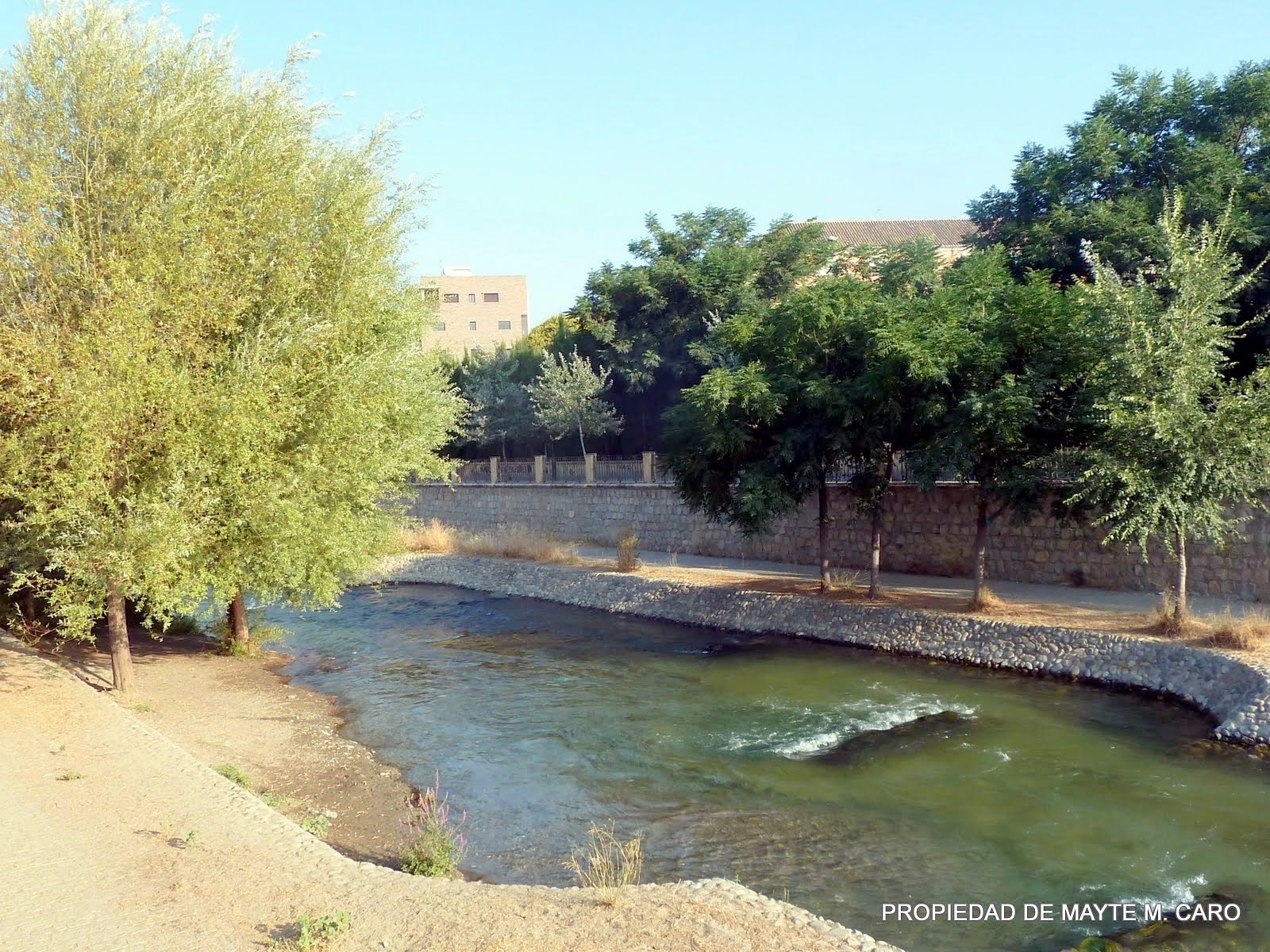 FUENTES EN GRANADA: Nuestro rio Genil a su paso por la ciudad.