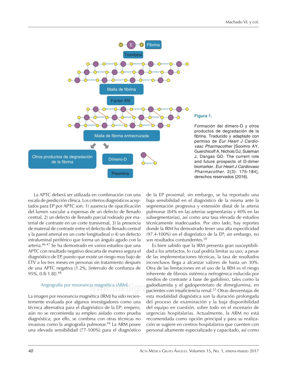 Laboratorio deTerapia Intensiva: Enfoque diagnóstico de la ...
