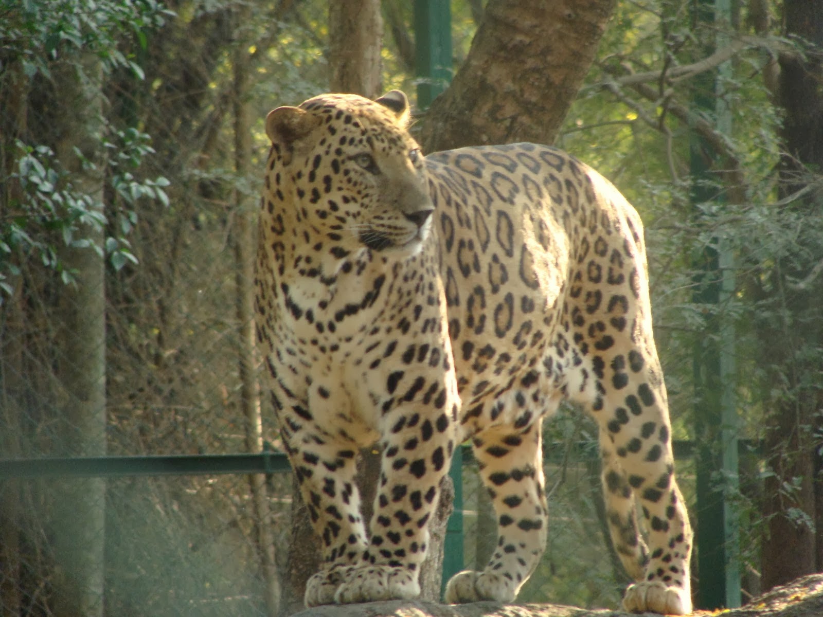 Kerala Tourism: Trivandrum