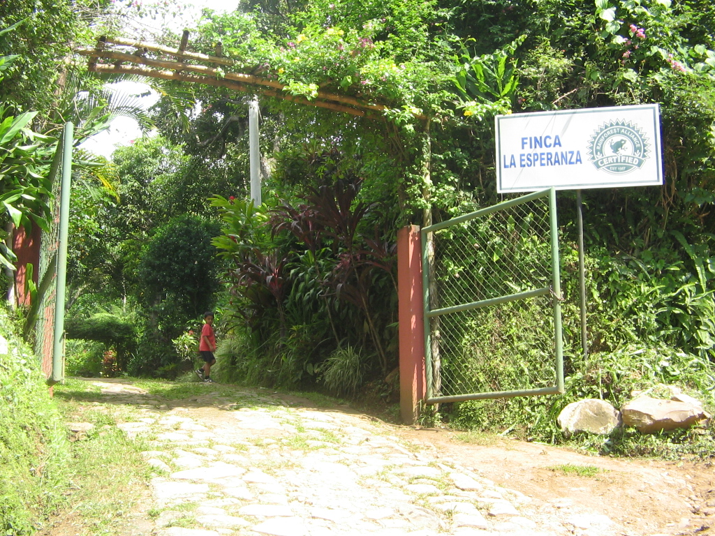 Municipio de Jayaque : Lugares Turisticos de Jayaque