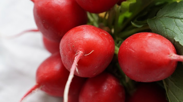 O RABANETE ~ O Poder das Frutas & Hortaliças