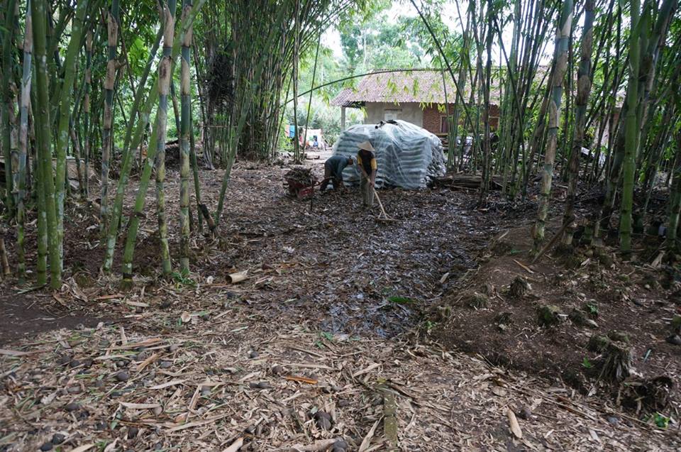 Pasar Papringan, Kebun Bambu Disulap Jadi Pasar yang Harmonis dengan ...
