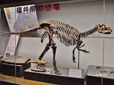Fukui Prefectural Dinosaur Museum ★ 福井県立恐竜博物館 - *ciramisu ♥