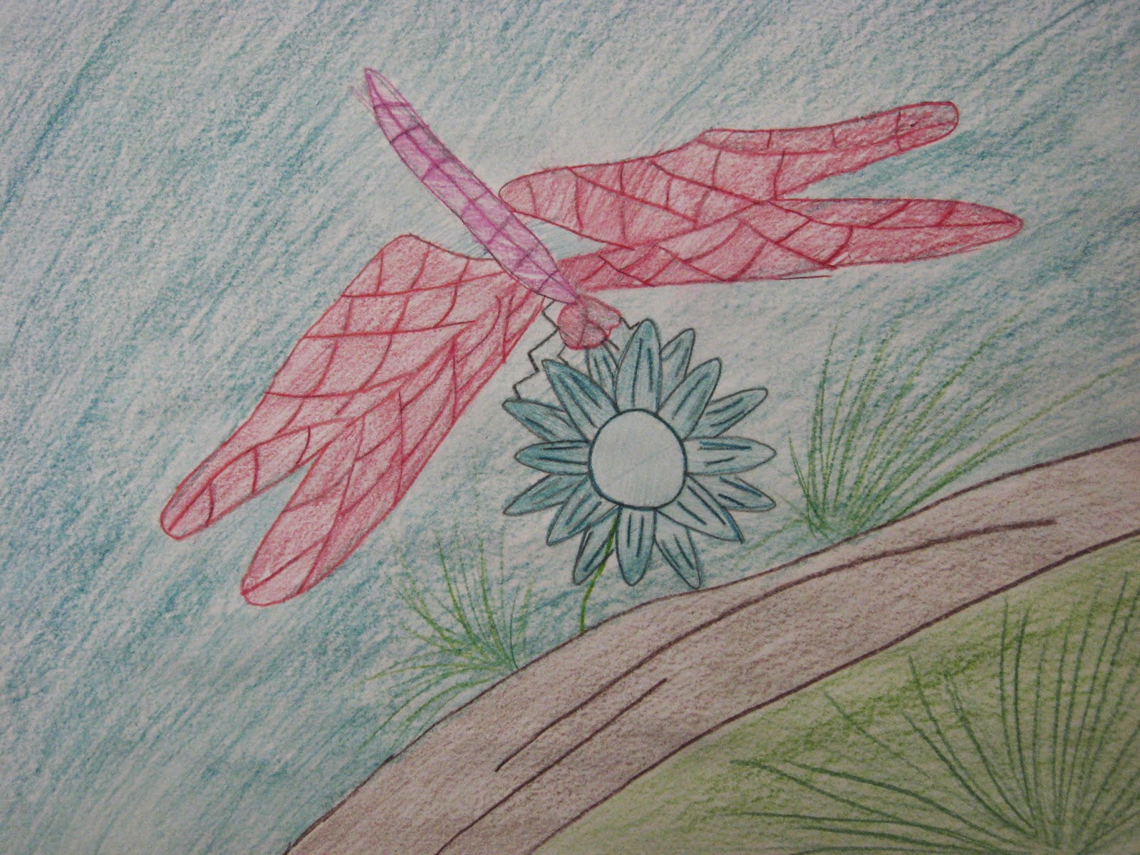 Miss Young's Art Room: 6th Grade Insect Drawings