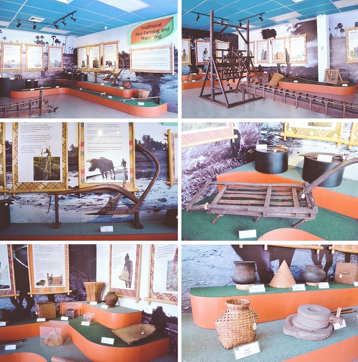 IRRI Riceworld Museum Tour - For Urban Women - Awarded Top 100 Urban ...