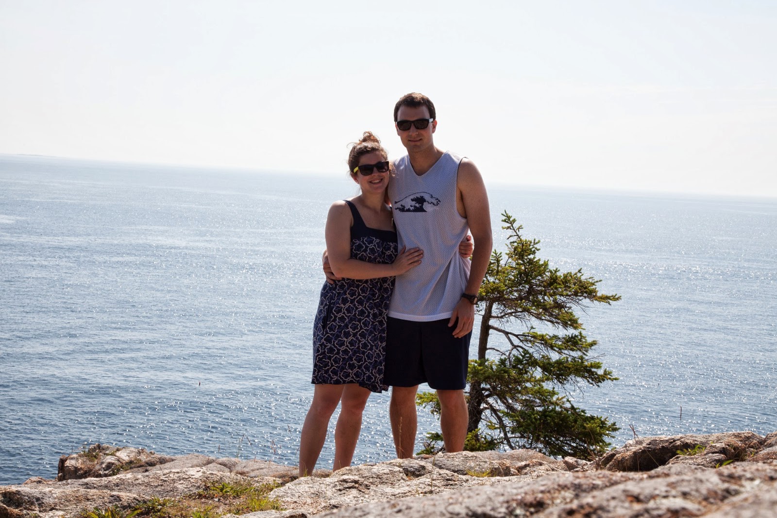 Acadia National Park | Bear Count