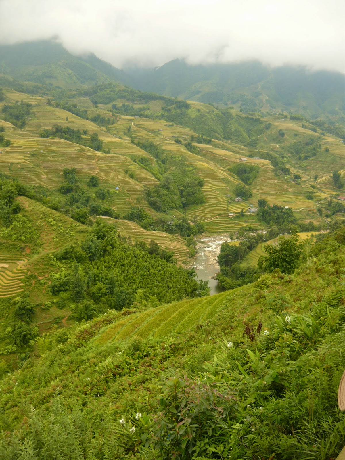 Cuaderno de viajes: Trekking por Sapa II