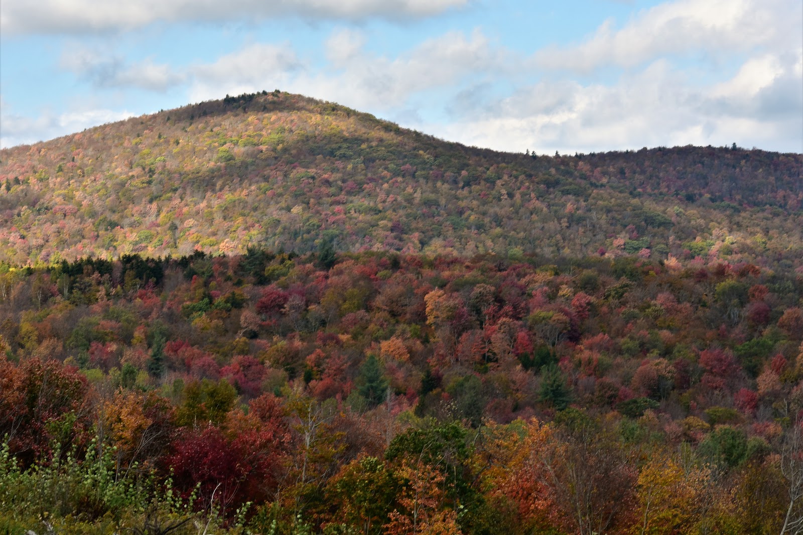 Podróże po Nowej Angli.: Mohawk Trail - MA