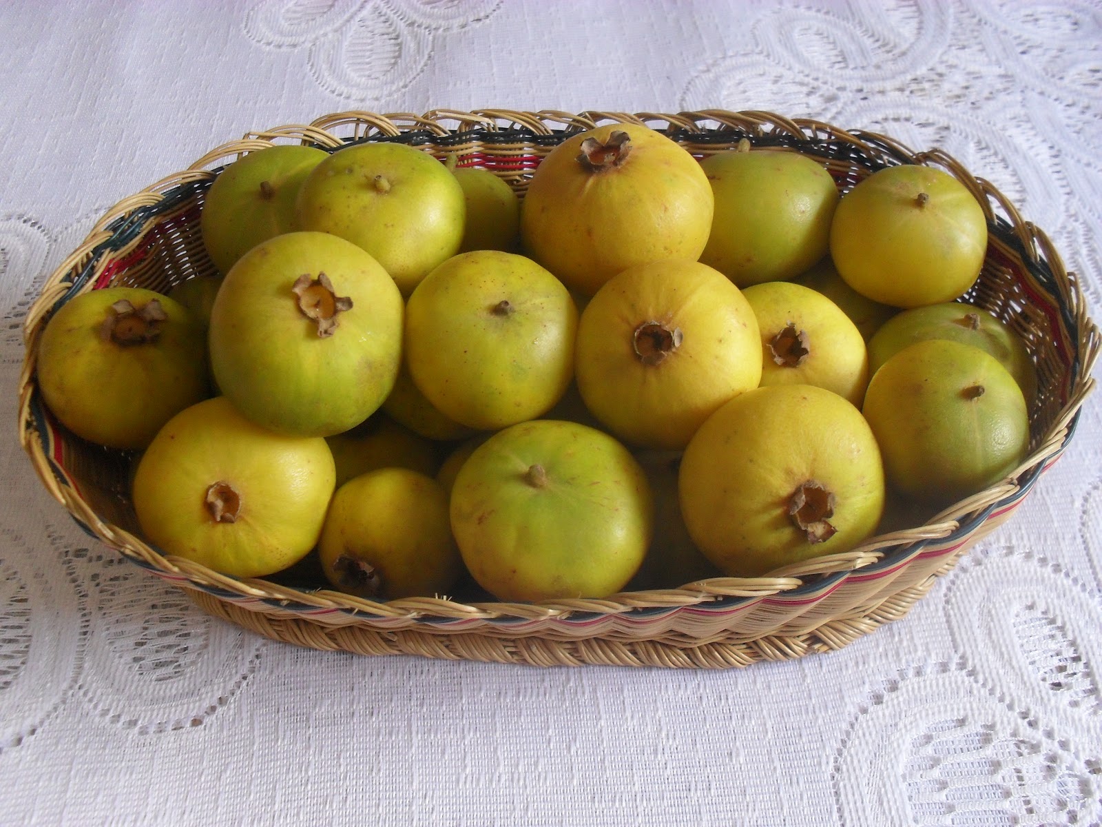 DELICIAS CULINARIAS - MIRAFLORES - BOYACÁ