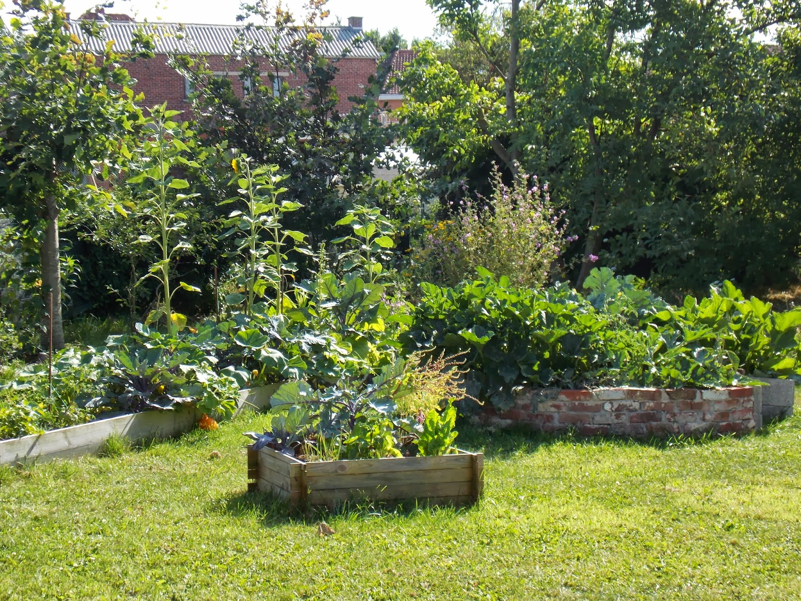 Une visite au jardin d'Ecolo-bio-nature