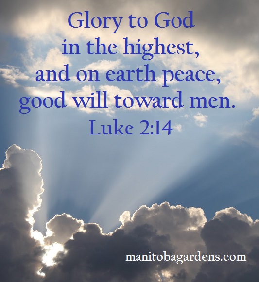 Living Our Lives Well: Scripture Picture Sunday # 20 Luke 2:2