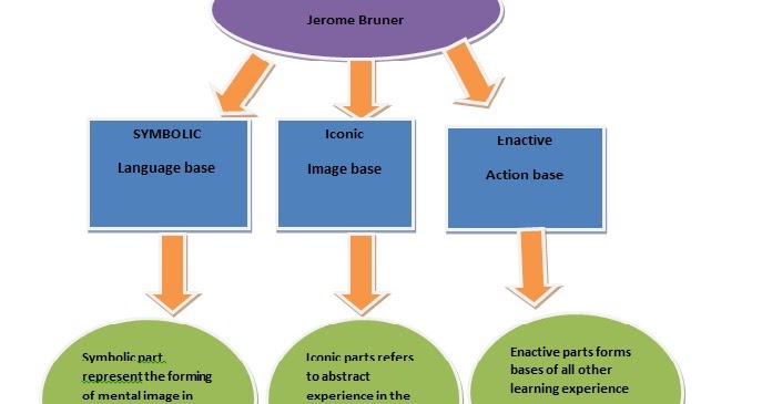 Bruner Three Fold Analysis