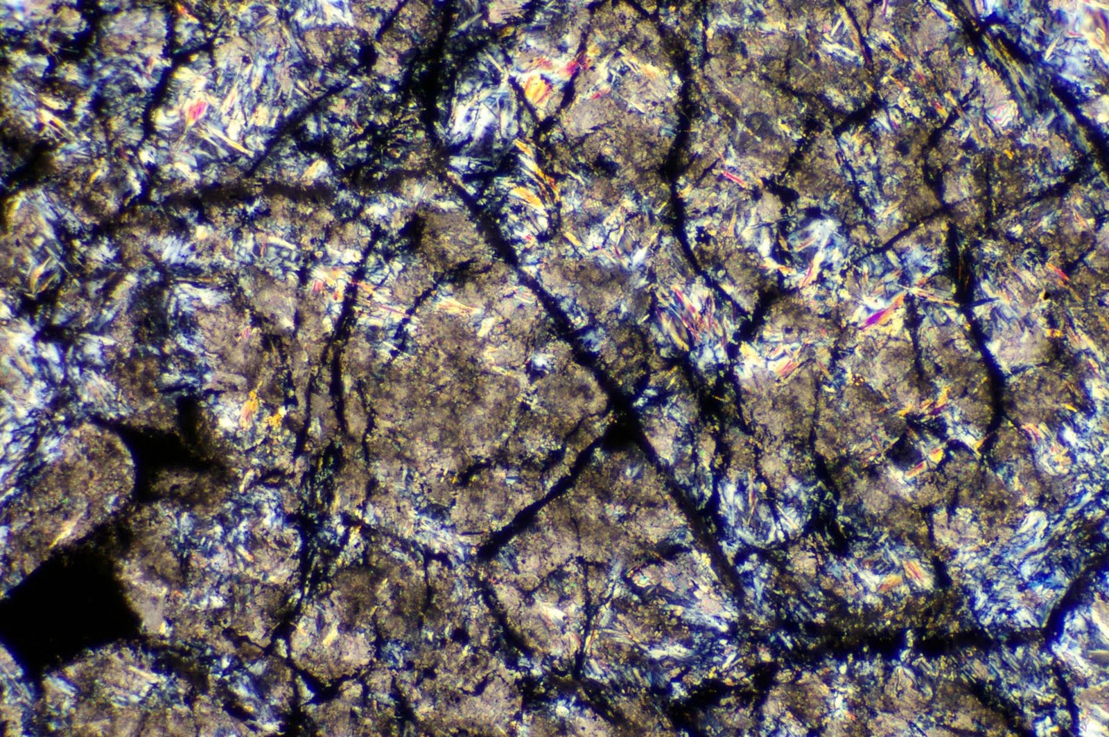 Peridotites: February 2011